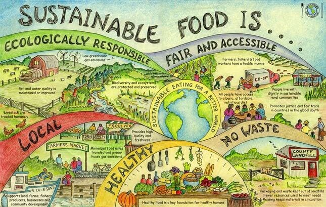 Sustainable Food Sources - 6 Characteristics That Prove The Truth